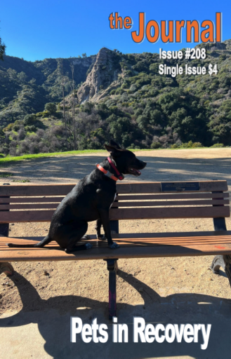 theJournal Magazine - Sex and Love Addicts Anonymous (S.L.A.A.)